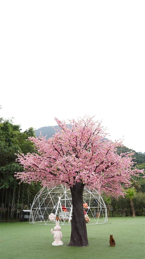 新年好去處2023｜大埔湖畔2萬朵鬱金香花海 6米高桃花樹＋漫天燈籠