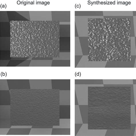 A B Two Stimulus Images In Experiment 1 C D Synthesized Images