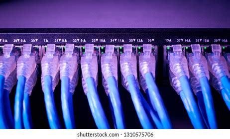 Utp Port Images Stock Photos Vectors Shutterstock