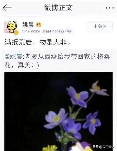 大嘴姚晨：我這輩子最正確的決定，就是二婚嫁給了醜男人曹郁 每日頭條