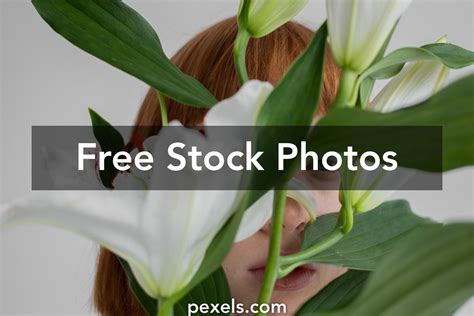 Lily Olsen Redhead Photos Download The Best Free Lily Olsen Redhead