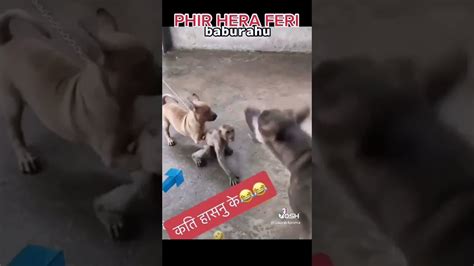 Babu Bhaiya Comedy Youtube