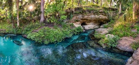 Such Devastation In Our Communities And Outdoor Spaces These Past Two Weeks So Incredibly