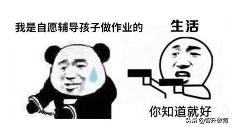 不寫作業母慈子孝，一寫作業雞飛狗跳，為啥？ 每日頭條
