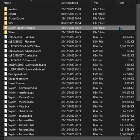 How To Install Skyrim Together Reborn On Your Skyrim Client Knowledgebase Shockbyte