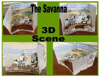 Ecosystems Biomes Habitats Interactive Activities By Rebecca Bettis