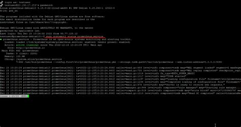 Guidance On Usage Prometheus Server On Debian 10 Minimal Articentgroup