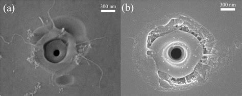 Figure 1 From Reconstructing Of Embedded High Aspect Ratio Nano Voids
