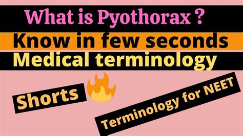 What Is Pyothorax Medical Terminology Terminology For Neet