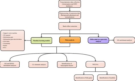 A Schematic Overview Of The Multistep Strategy For Understanding