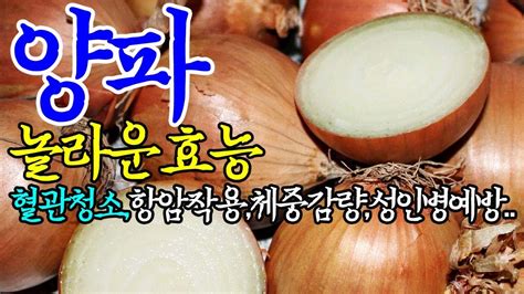 ☞양파의 놀라운 효능【간건강당뇨개선체중감량에도 좋은 양파~】 Youtube