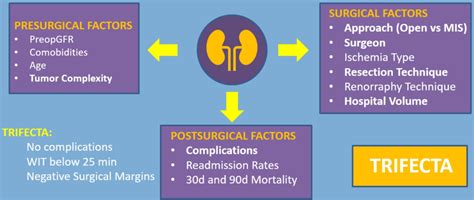 Eau 2020 Open Vs Minimally Invasive Partial Nephrectomy What Is The Evidence