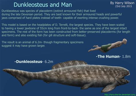 Dinosaur Duels Episdoe 1 Dunkleosteus Vs Liopleurodon Jurassic Park Amino