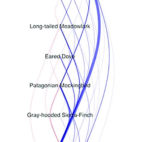 The Overall Dominance Network Organized By Most Dominant Top To Least