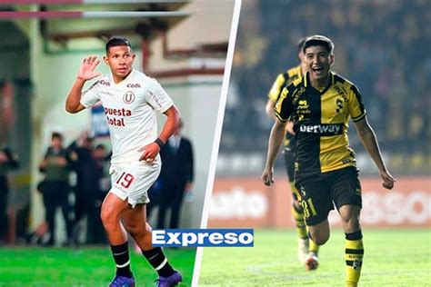 Partidos De Hoy Sábado 20 De Enero De 2024 Horarios Canales De Tv Y
