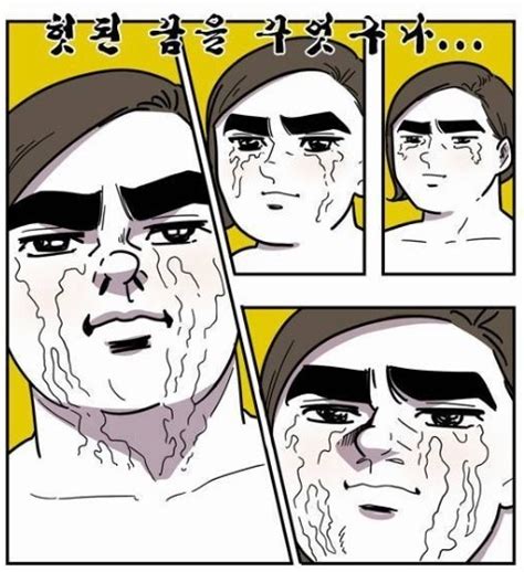 로스트아크 인벤 강선이형 스커도 순정이 있어 로스트아크 인벤 스트라이커 게시판