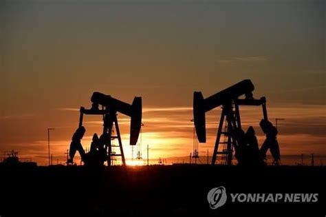 국제유가 글로벌 공급 과잉 우려에 하락wti 26↓ 아주경제