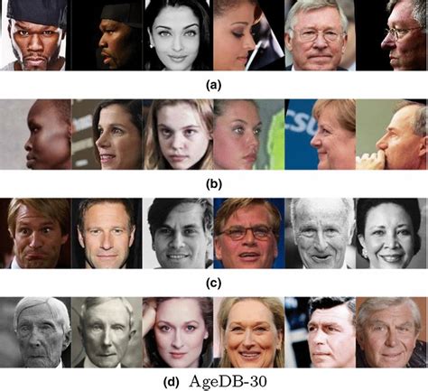Examples Face Images From A Cfp Fp B Cplfw C Calfw And D Agedb 30