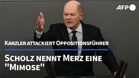 Scholz Nennt Merz Eine Mimose AFP YouTube