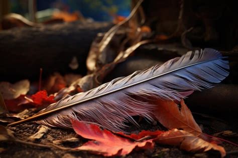 Premium Photo Feather Lying On A Pile Of Leaves