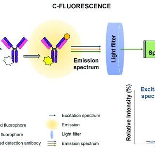 Fluorescence Technique Scheme To Detect An Antigen The Optical Setup Download Scientific