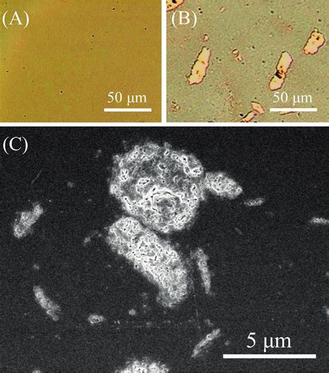 Sem Image Of Titanium Particle In The Raw Mixture Powder Fine