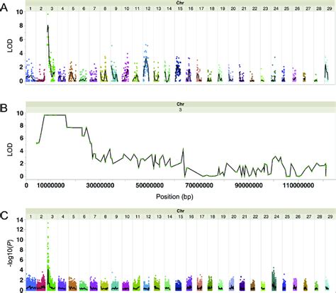 Linkage And Genome Wide Association Mapping Of Dominant Red A Whole