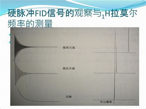 脉冲核磁共振实验 （06光科 冯文赫 ） Ppt Download