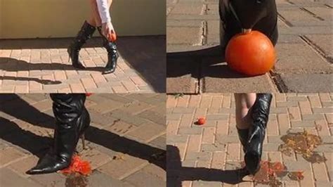 Tomato Squash Lazycat Reviews