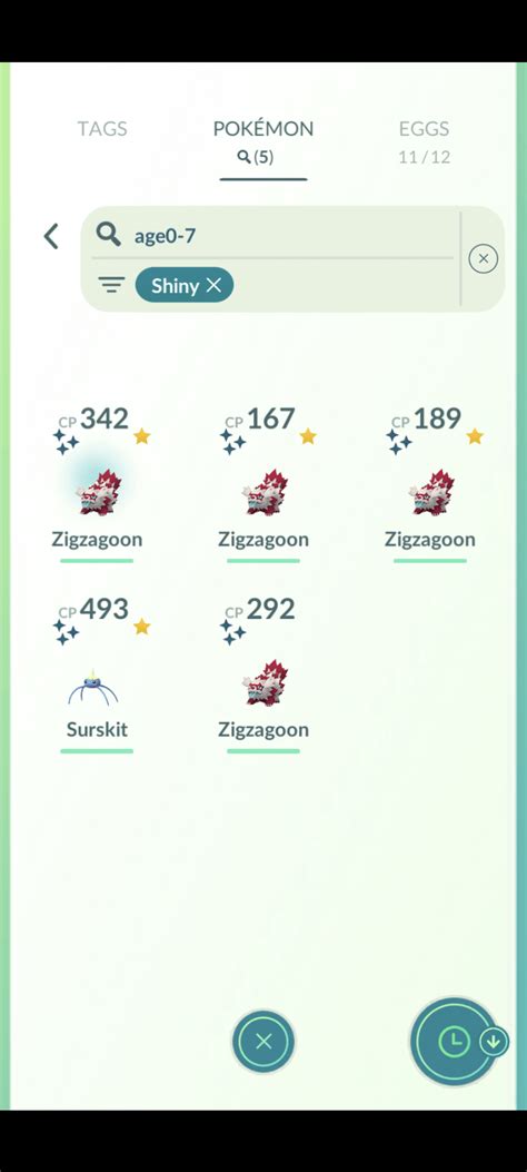 Is Galarian Zigzagoon Shiny Rate Increased I Dont Get Many Galarian