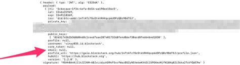 Email Address Is Passed As Null Even If It Is Present In Scope · Issue