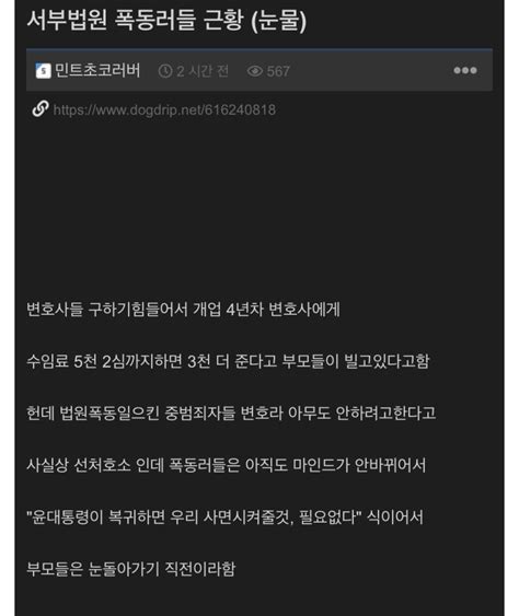 서부지법 폭동러들 근황