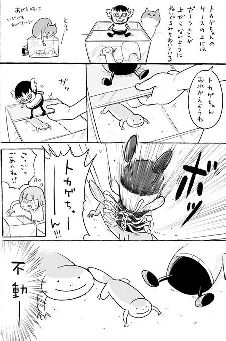 2022年11月30日のツイート 松本ひで吉 さんのマンガ ツイコミ 仮