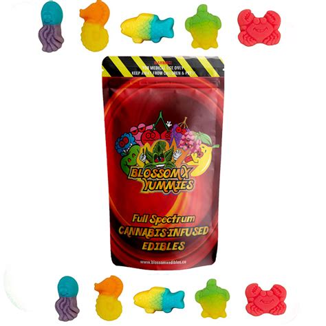 BlossomX Fruit Splash Gummy Candy 300mg THC 10 X 30mg Herb Castle