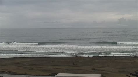 Vipcurlmulti Object Detection Dataset By Project229