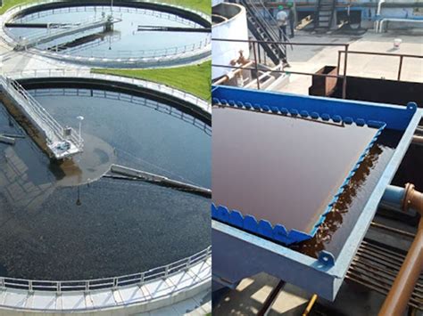 Perbedaan Lamella Clarifier Dan Circular Clarifier Beta Pramesti Asia