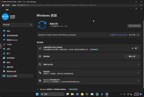 脚本 一键跳过cputpm等硬件要求直装windows 11各种版本 蓝点网