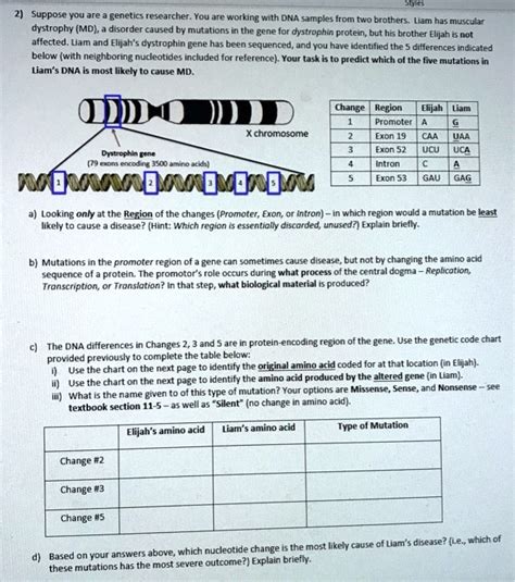 SOLVED Suppose You Are Genetics Researcher You Are Woring With DNA