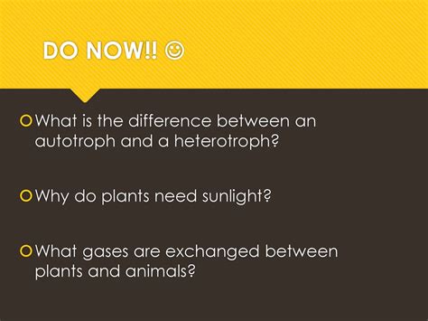 Do Now What Is The Difference Between An Autotroph And A Heterotroph
