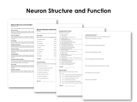 Neuron Structure And Function Teaching Resources