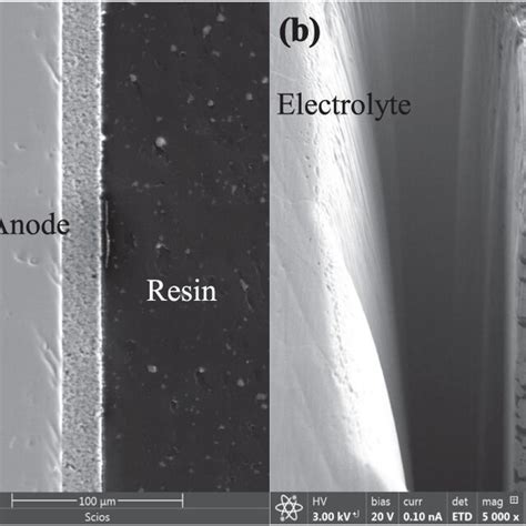 A Schematic Of The Fib Sem B Original Secondary Electron Images
