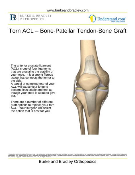 Pdf Torn Acl Bone Patellar Tendon Bone Graft Dokumen Tips