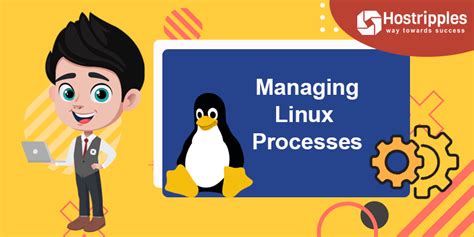 What Is Linux Process Important Commands For Linux Process