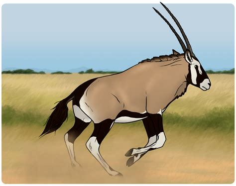 Collab Gemsbok By Fast Bullet On Deviantart