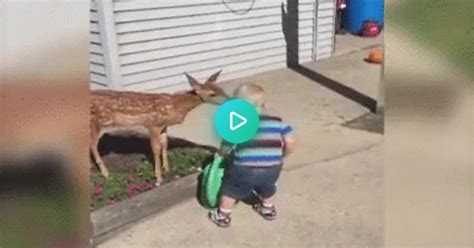 Error Unexpected Obstacle In Path  On Imgur
