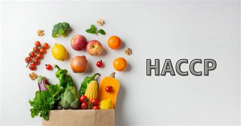 HACCPを分かりやすく メリットや認証機関の違いとは導入手順も紹介