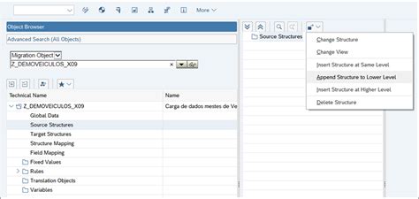 Custom Migration Objects Using Bapi Sap Community
