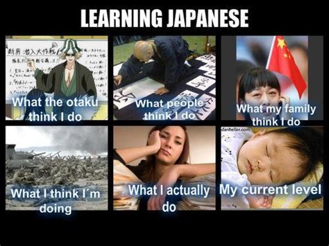 Funny Japanese Memes