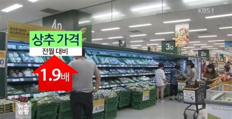 집중호우로 채소 값 상승 체감물가 31 올라인터넷저널