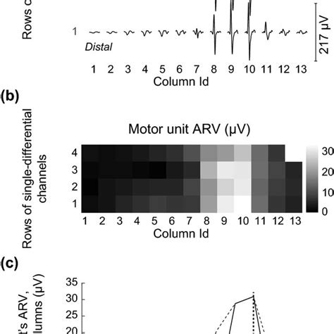 Procedure For The Determination Of The CoM Of One Motor Unit A Example Download Scientific